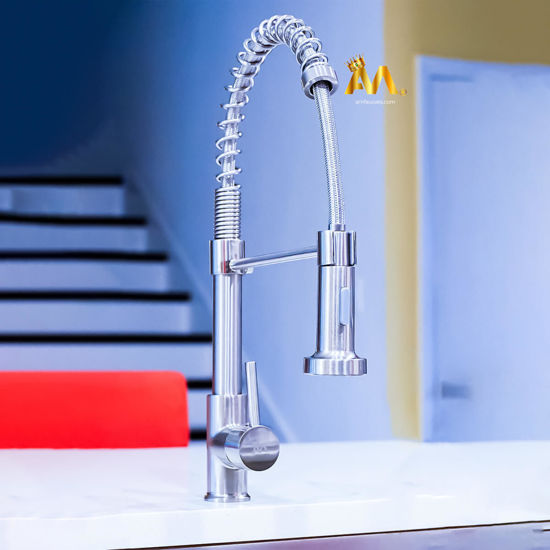 Elegant Spring Faucet for Kitchen with Affordable Price | AM Faucets ...